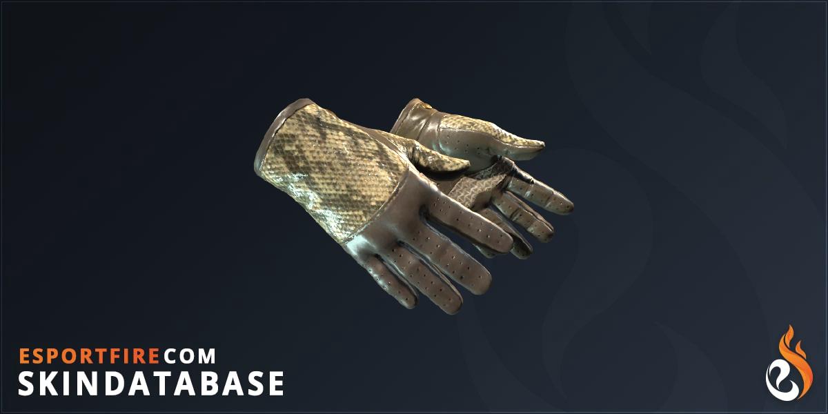 Driver Gloves | Diamondback - EsportFire.com