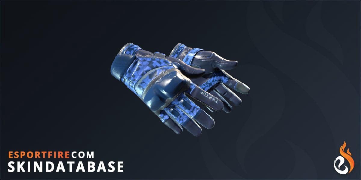 Moto Gloves | Polygon - EsportFire.com