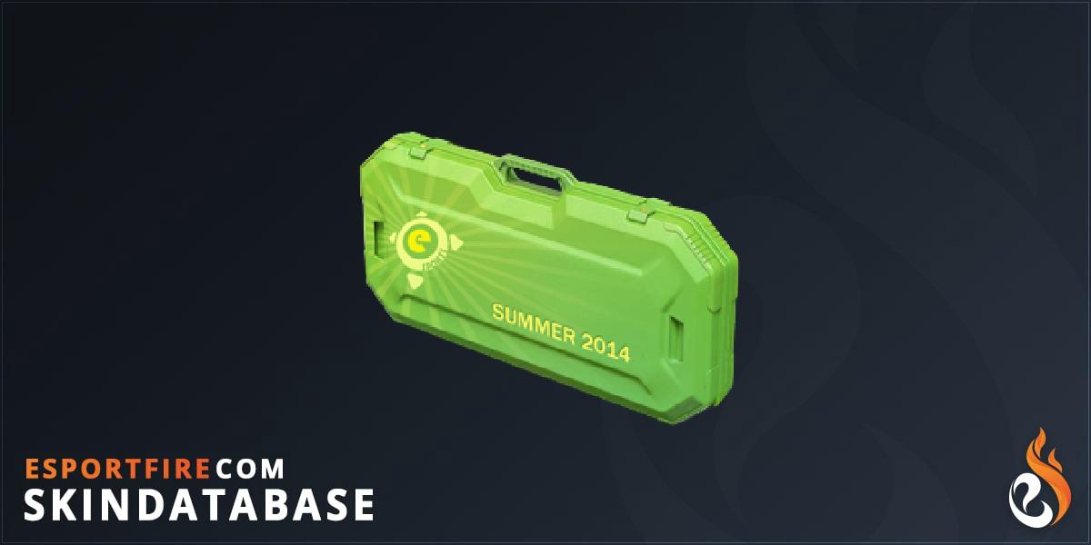 eSports 2014 Summer Case - EsportFire.com