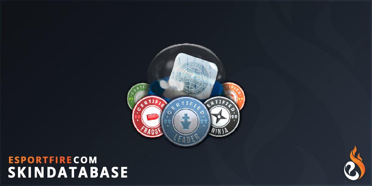 Team Roles Capsule - EsportFire.com