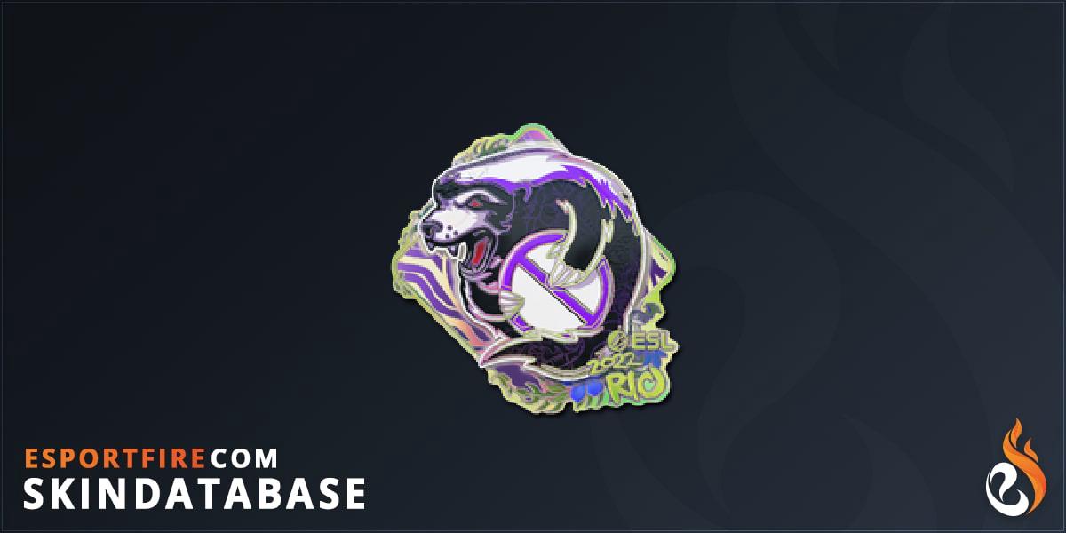 Sticker | Outsiders (Holo) | Rio 2022 - EsportFire.com