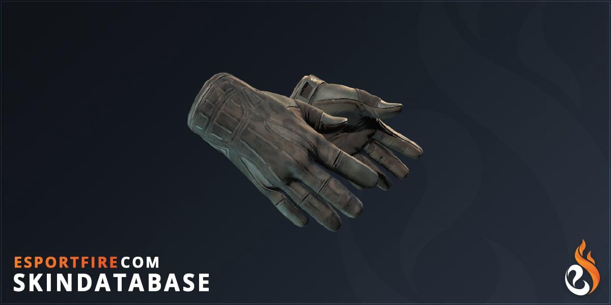 Sport Gloves | Nocts (Field-Tested) - EsportFire.com
