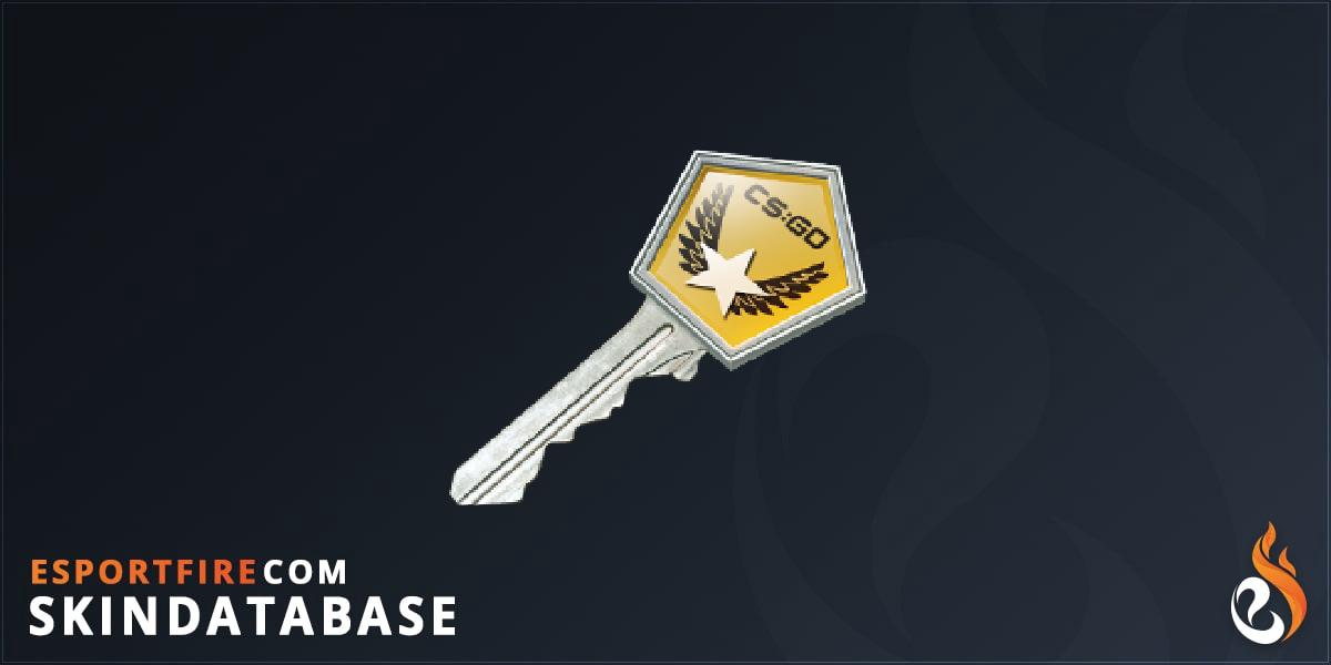 Winter Offensive Case Key - EsportFire.com