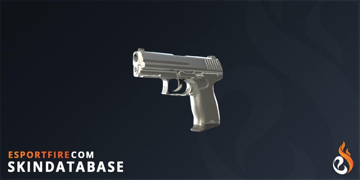 P2000 | Silver - EsportFire.com