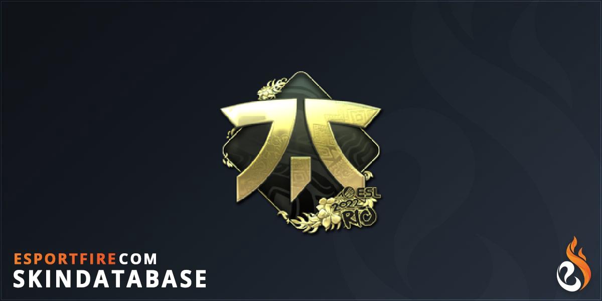Sticker | Fnatic (Gold) | Rio 2022 - EsportFire.com