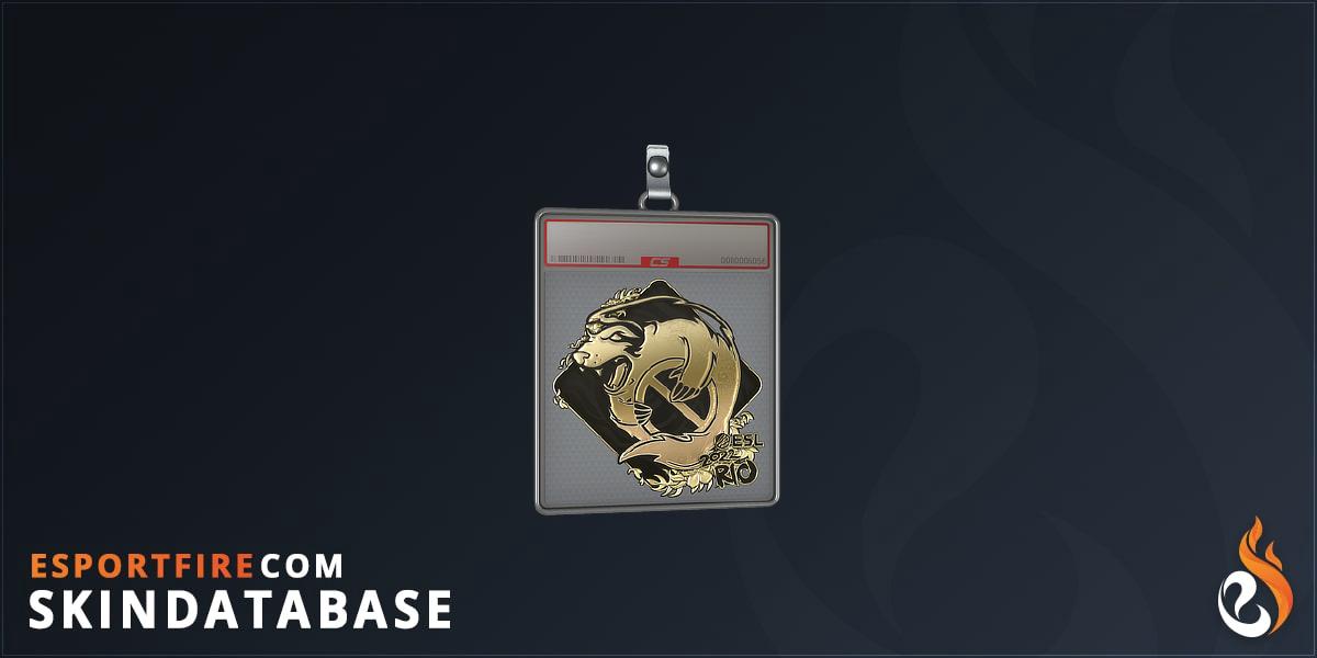 Sticker Slab | Outsiders (Gold) | Rio 2022 - EsportFire.com