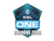 Sticker Slab | gla1ve (Foil) | Cologne 2016 - EsportFire.com
