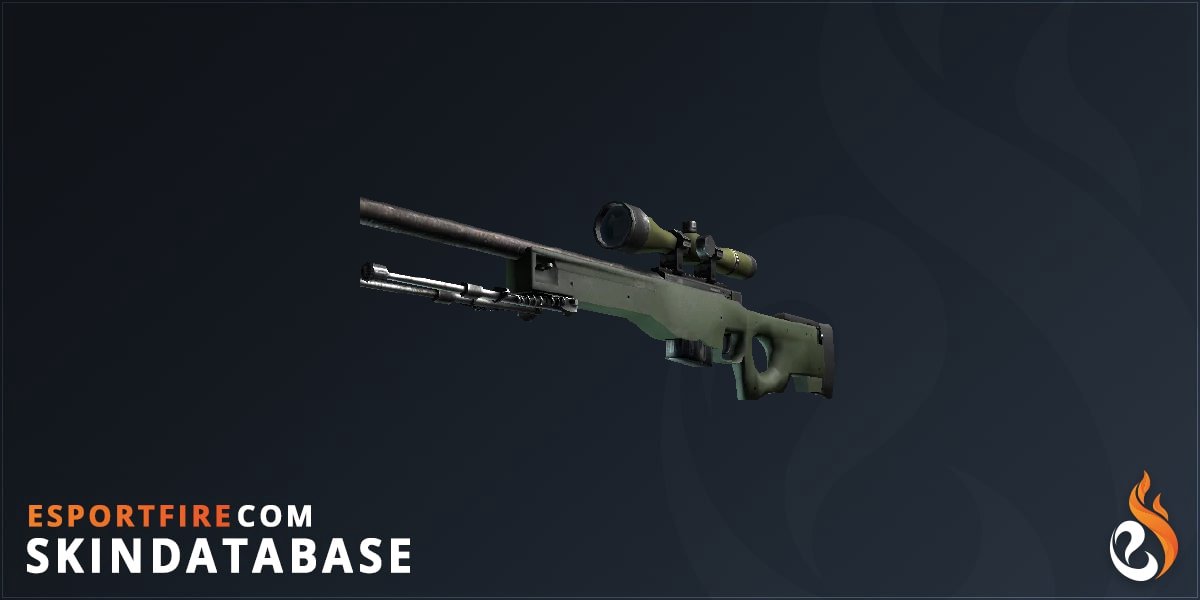 Browse and buy all CS2 AWP Skins - EsportFire.com