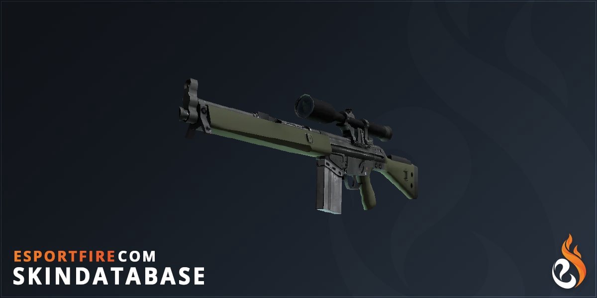 Browse and buy all CS2 G3SG1 Skins - EsportFire.com