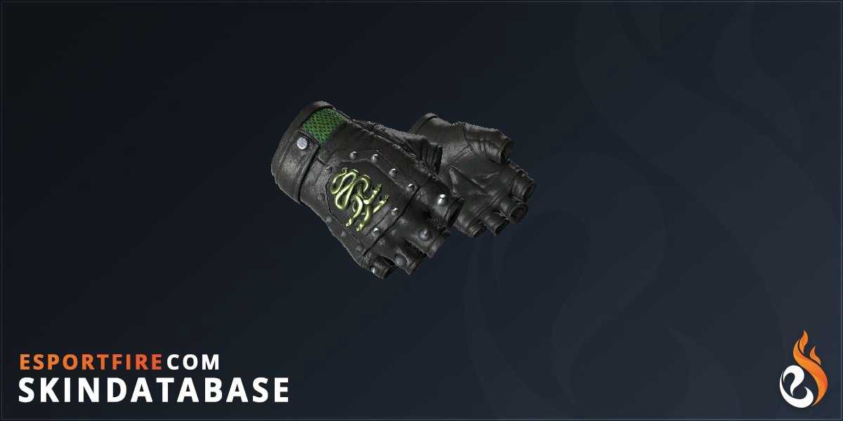Browse and buy all CS2 Hydra Glove Skins - EsportFire.com